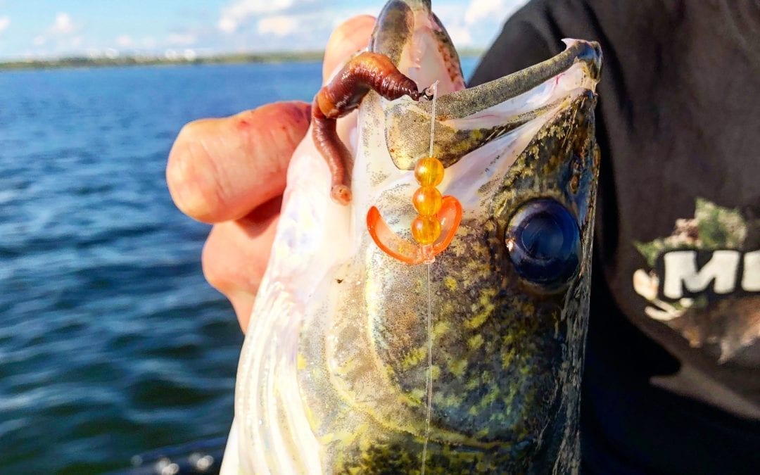 Northland Butterfly Blade Super Death Rig | Walleye Fishing, Slow Death