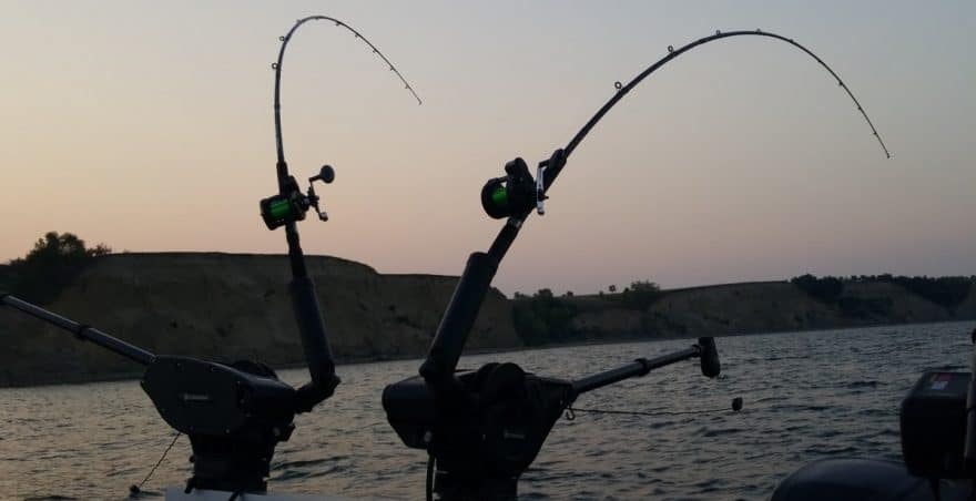 Salmon Trolling - The Game of Troll | Tips & Tricks